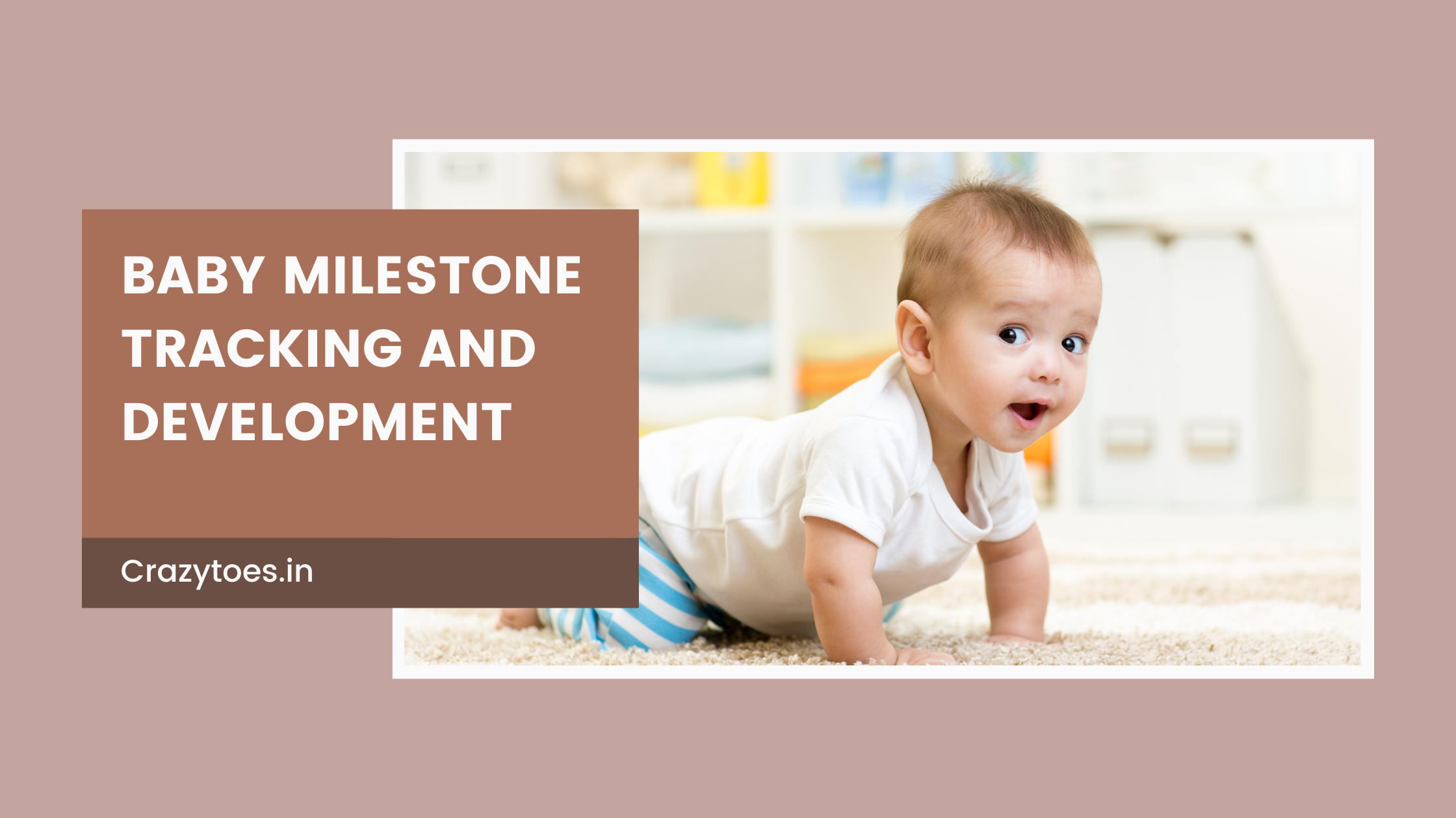 Milestone Tracking and Development: A Comprehensive Guide for New Pare ...